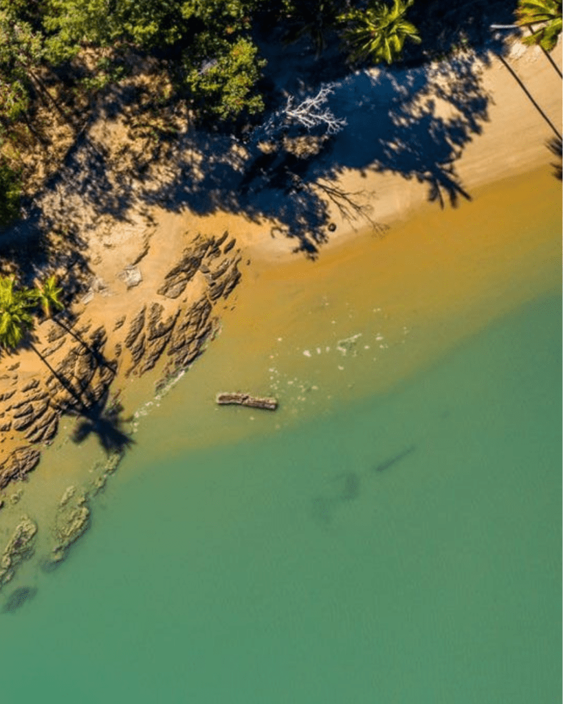 Macernis Group – Protect, Repair, Preserve