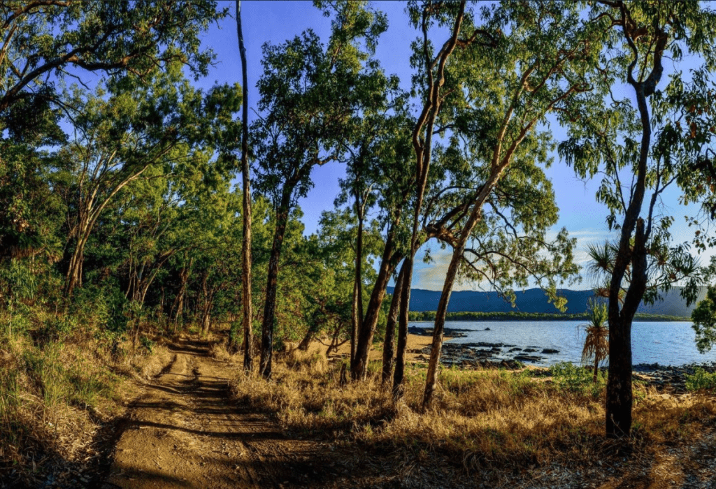 Taylor Point: Reversing the Impact of Unauthorized Access – Macernis Group